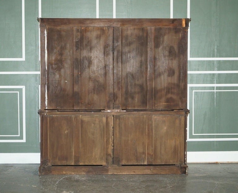 Large Antique Library Bookcase Display Cabinet with Adjustable Shelves ...