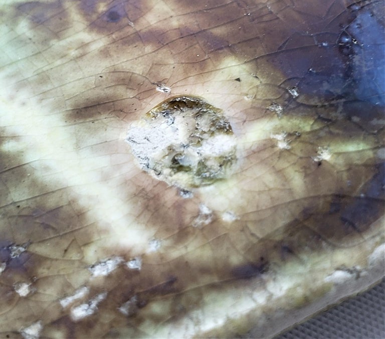 Large Antique Majolica Covered Cheese Server or Dome with Leaf and ...