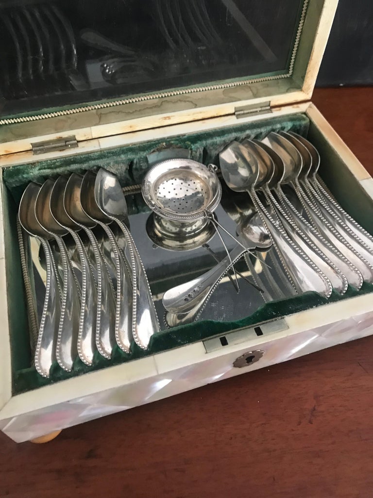 Mint C. and Large Antique Display Shell Box w. Beveled Glass Top and ...