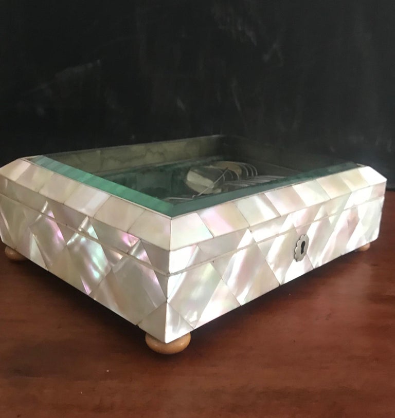Mint C. and Large Antique Display Shell Box w. Beveled Glass Top and ...