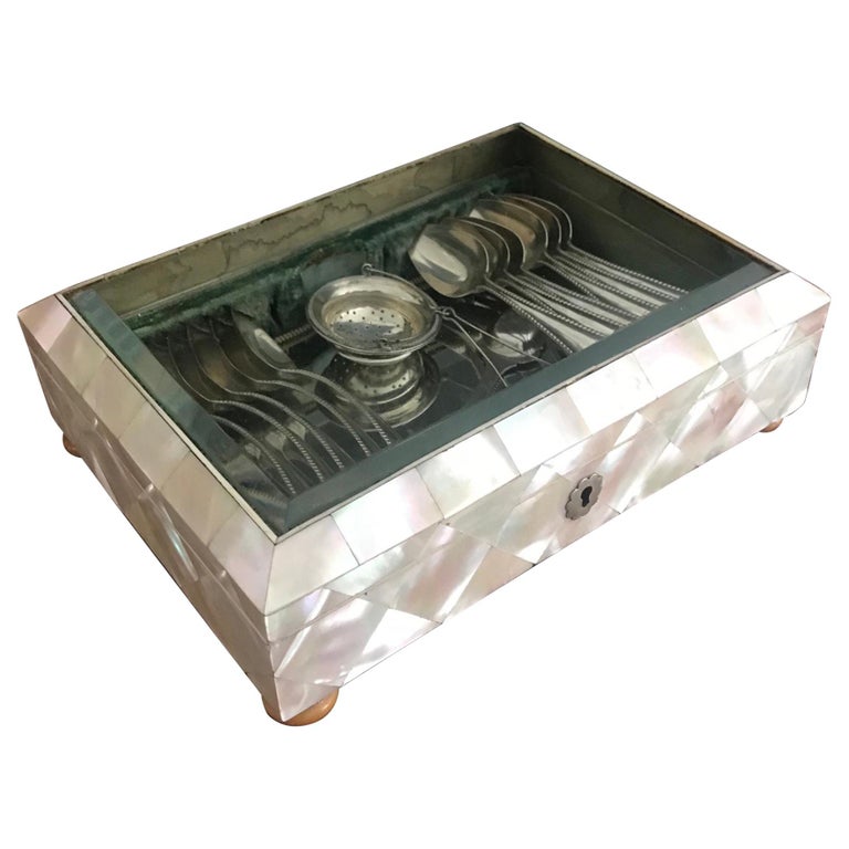Mint C. and Large Antique Display Shell Box w. Beveled Glass Top and ...