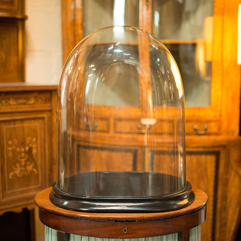 Large Antique Oval Display Dome, English Showcase, Taxidermy, Diorama ...