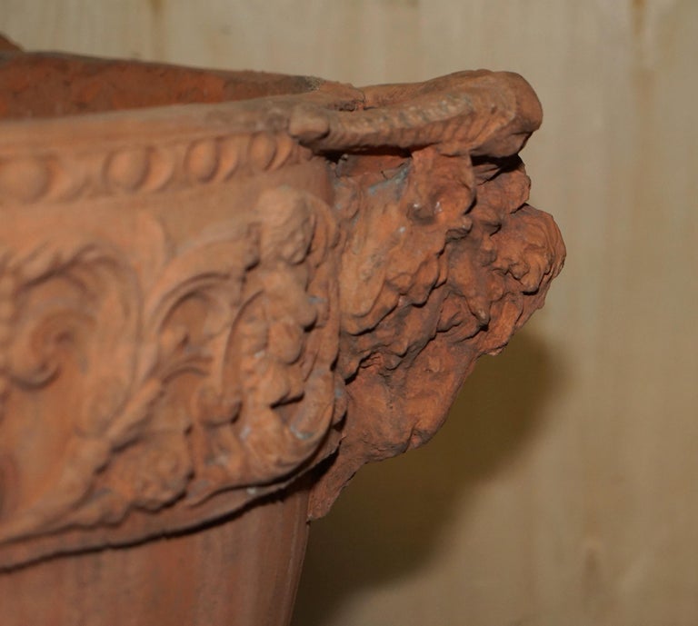 LARGE ANTIQUE RAMS HEAD and CHERUB PUTTI TERRACOTTA PLANTER 69CM HiGH ...