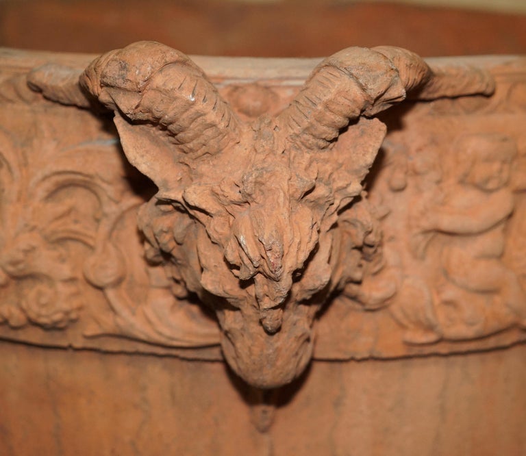 LARGE ANTIQUE RAMS HEAD and CHERUB PUTTI TERRACOTTA PLANTER 69CM HiGH ...