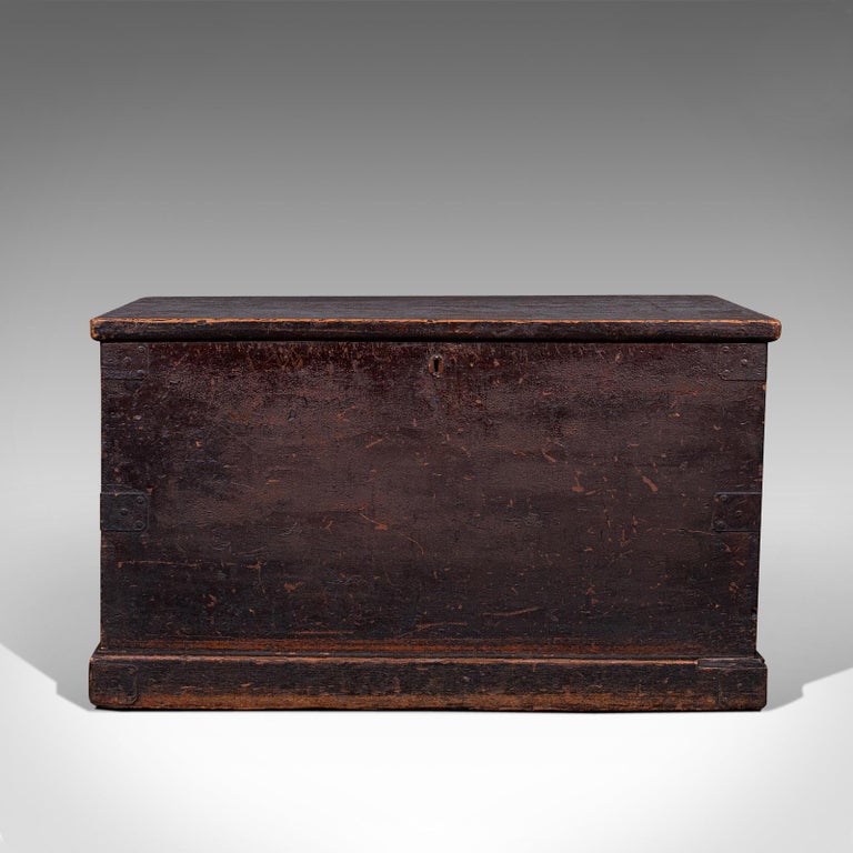 Large Antique Shipping Trunk, English, Pine, Travel, Tool Chest ...