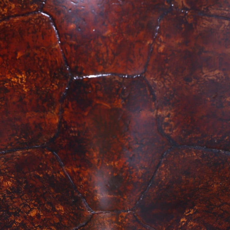 Large Antique Turtle Shell at 1stDibs