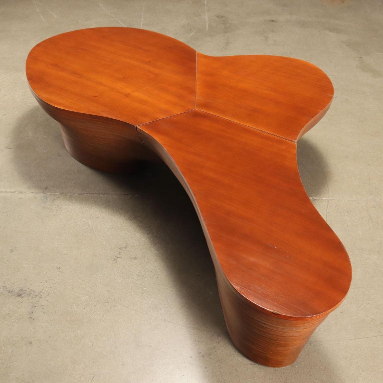 Large Argentinian Coffee Table from the 50s and 60s at 1stDibs