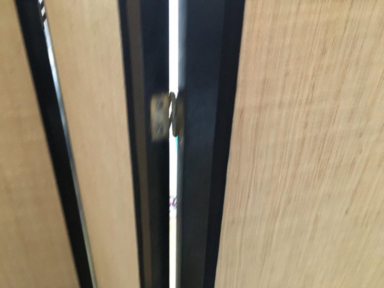 Large Art Deco Five Panels Black Lacquer and Raffia Screen, France 1930 ...