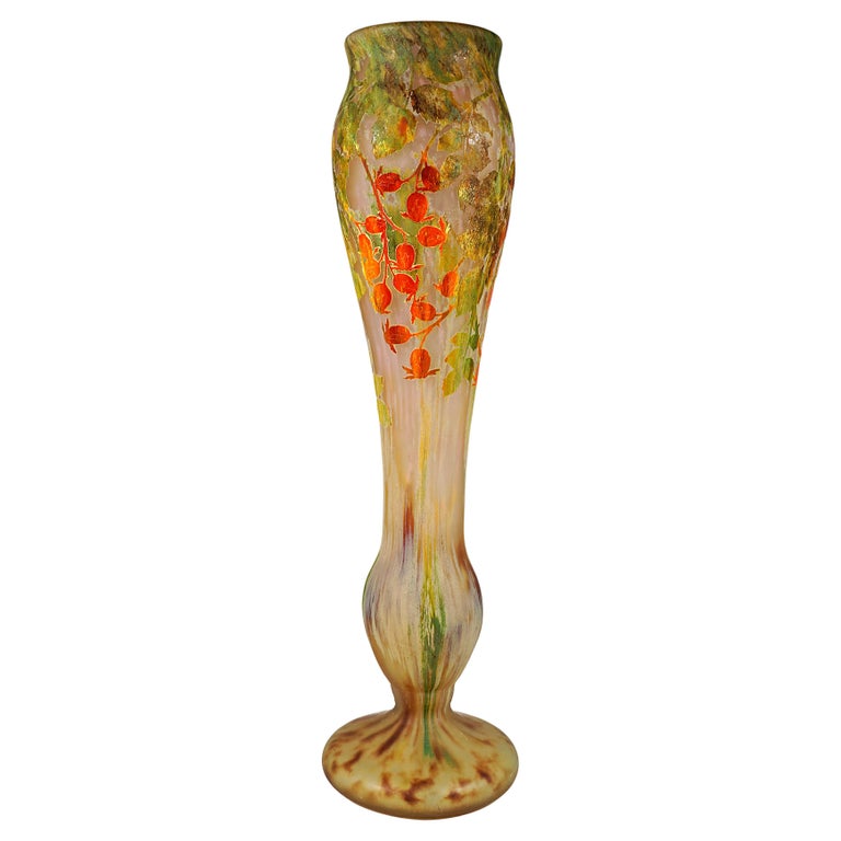 Large Art Nouveau Cameo Vase with Rosehip Decor, Daum Nancy, France ...
