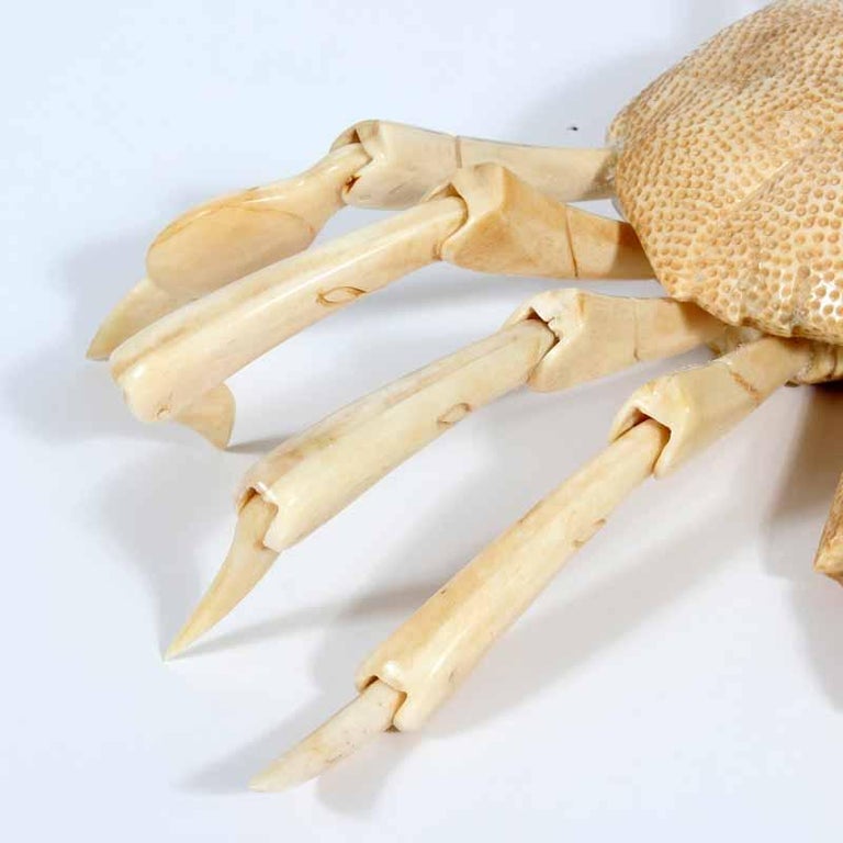 Large Articulated Bone Crab at 1stDibs | crab bones, articulated crab