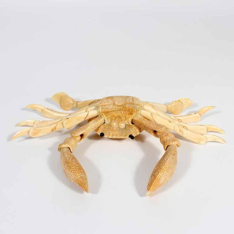 Large Articulated Bone Crab at 1stDibs | crab bones, articulated crab