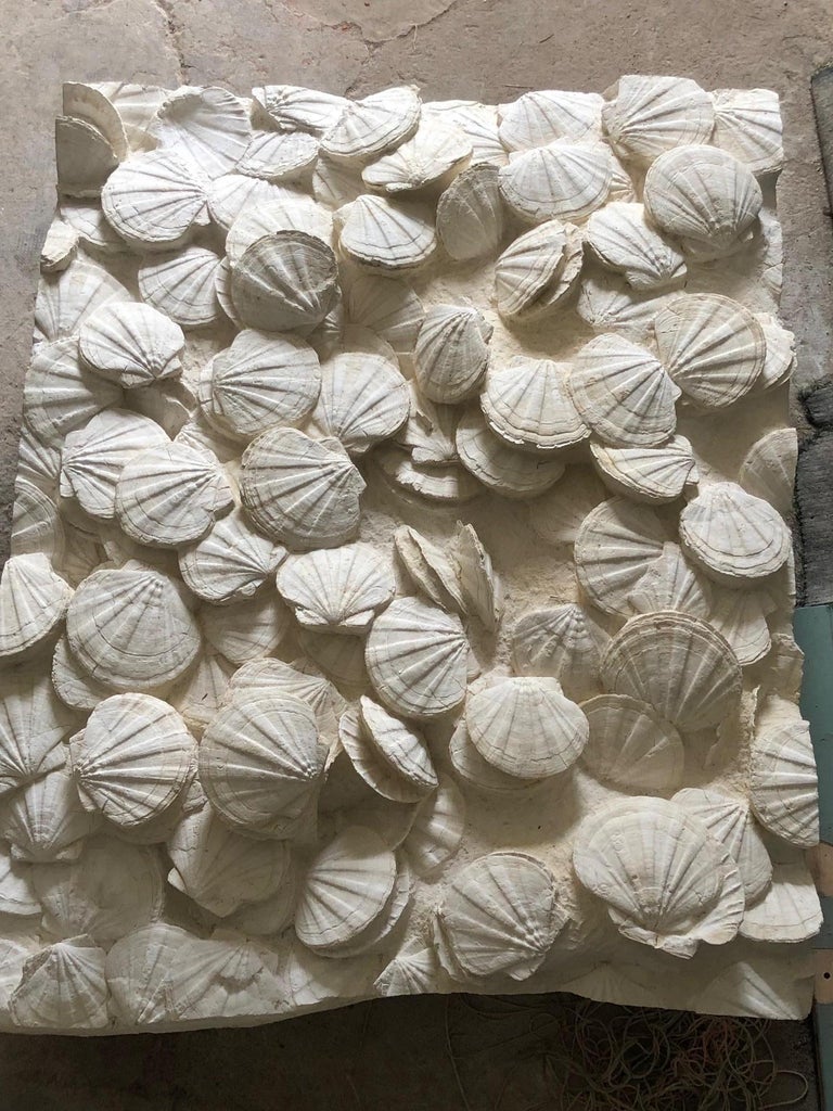 Large Block of Pecten Fossils in Limestone, France, Miocene Era at 1stDibs