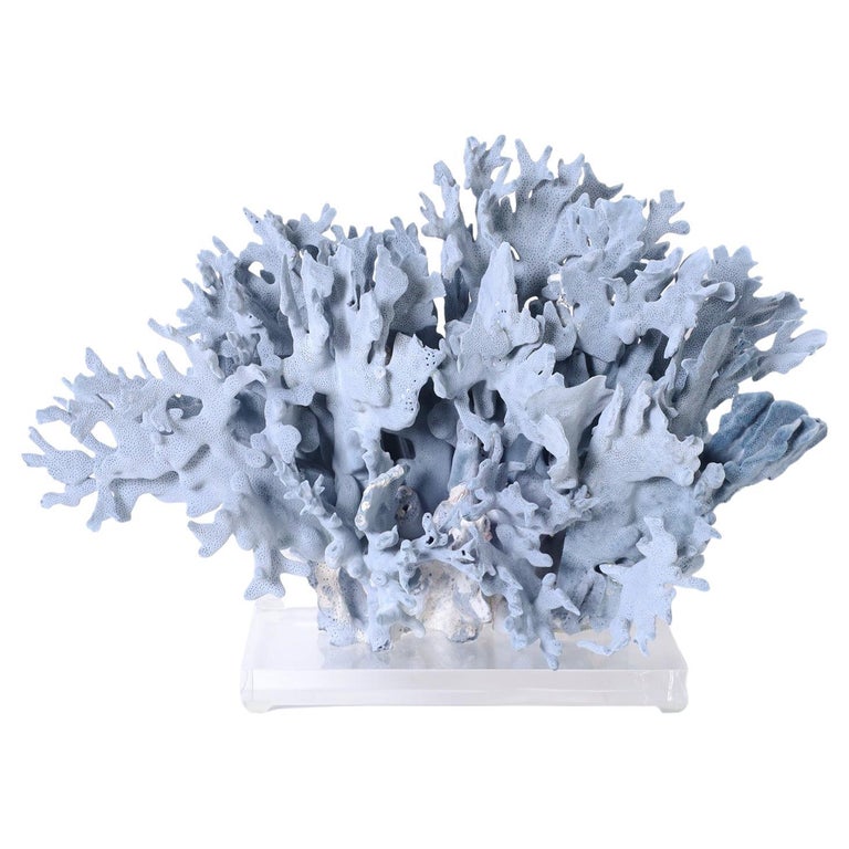 Large Blue Coral Sculpture on Lucite For Sale at 1stDibs