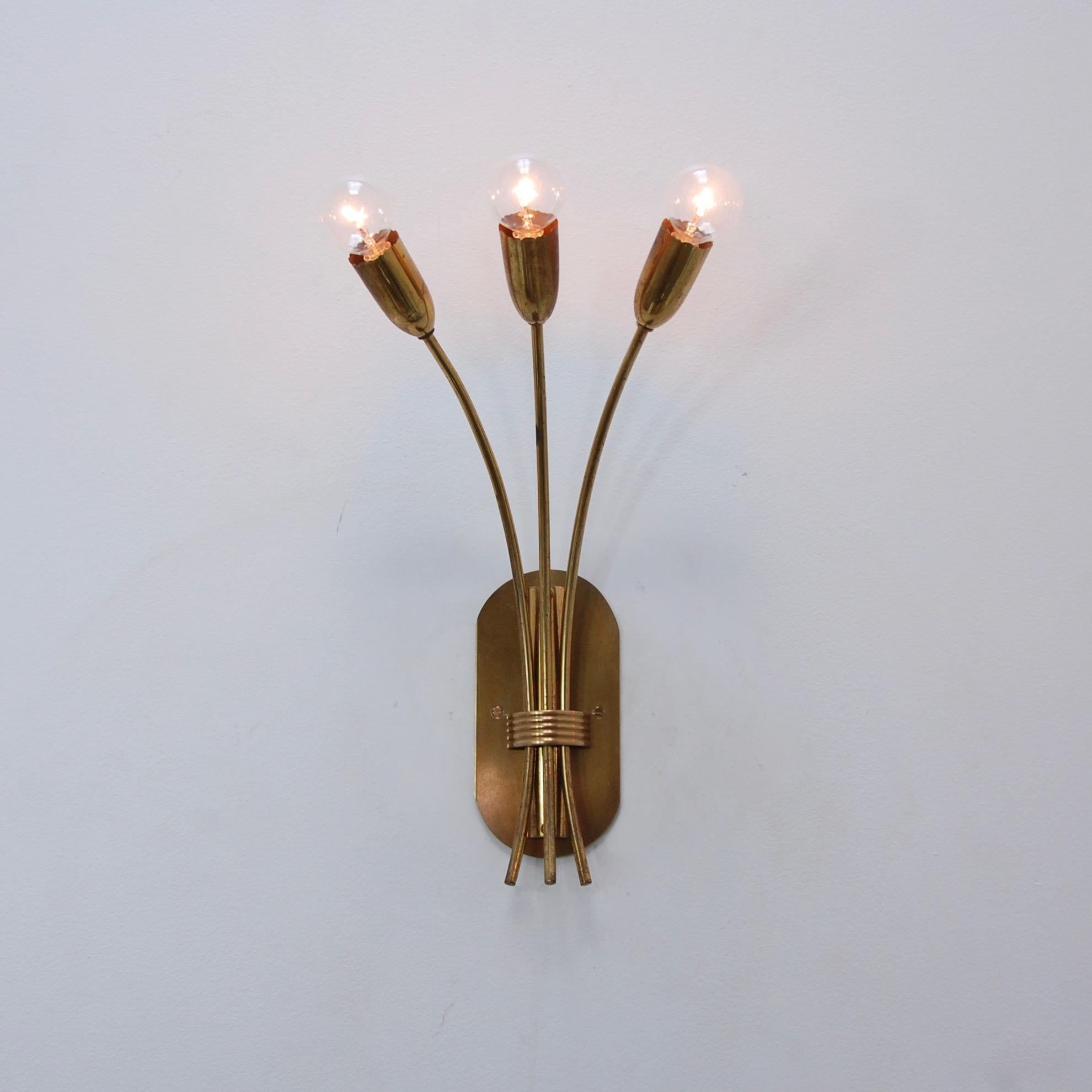 Large Botanical Sconces at 1stDibs