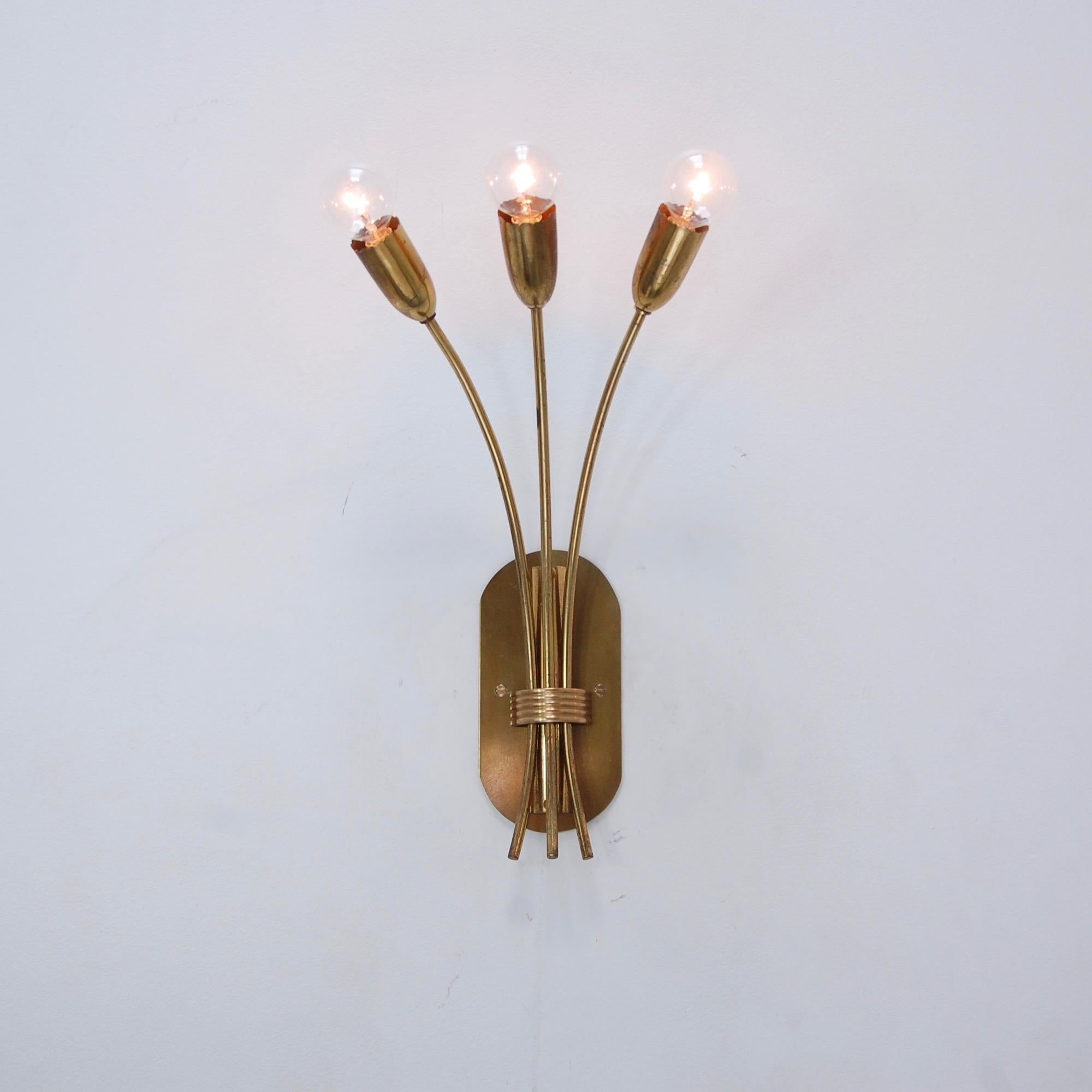 Large Botanical Sconces at 1stDibs