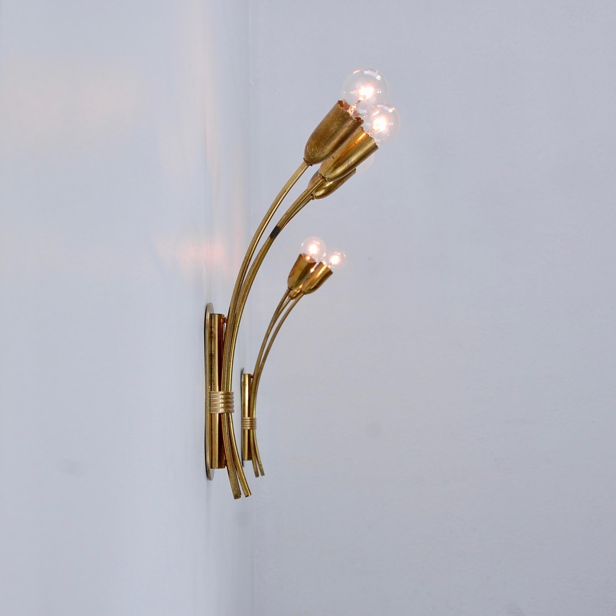 Large Botanical Sconces at 1stDibs