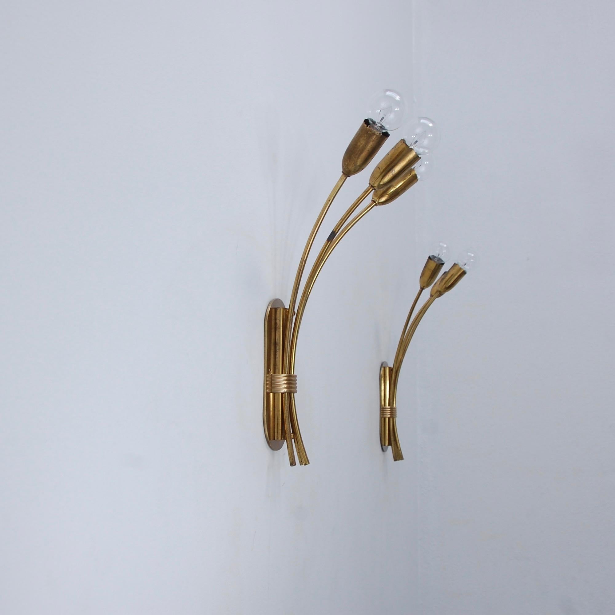 Large Botanical Sconces at 1stDibs