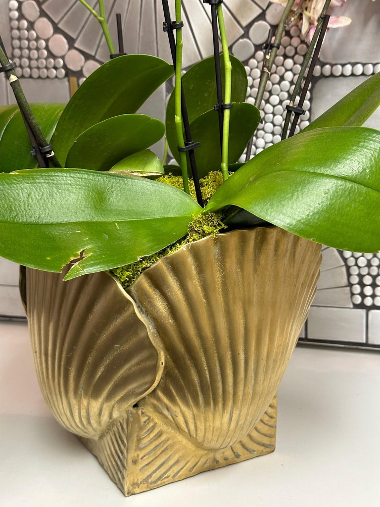 Large Brass Shell Planter For Sale at 1stDibs