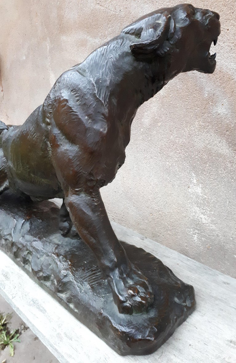Large Bronze Sculpture of an Injured Lioness, by Charles Valton, France ...