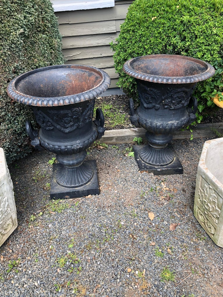 Large Capagna Form Pair of Black Cast Iron Planters Urns For Sale at ...