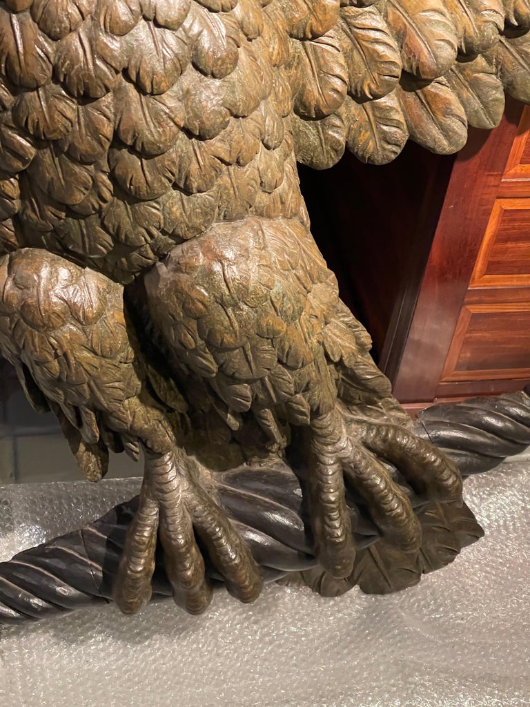 Large Carved Eagle in Oak and Beechwood, Empire Period For Sale at 1stDibs