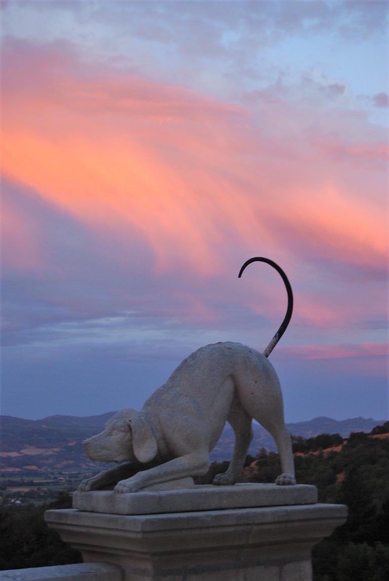 Large Carved Stone Figures of Hunting Dogs Garden Antique Statues ...