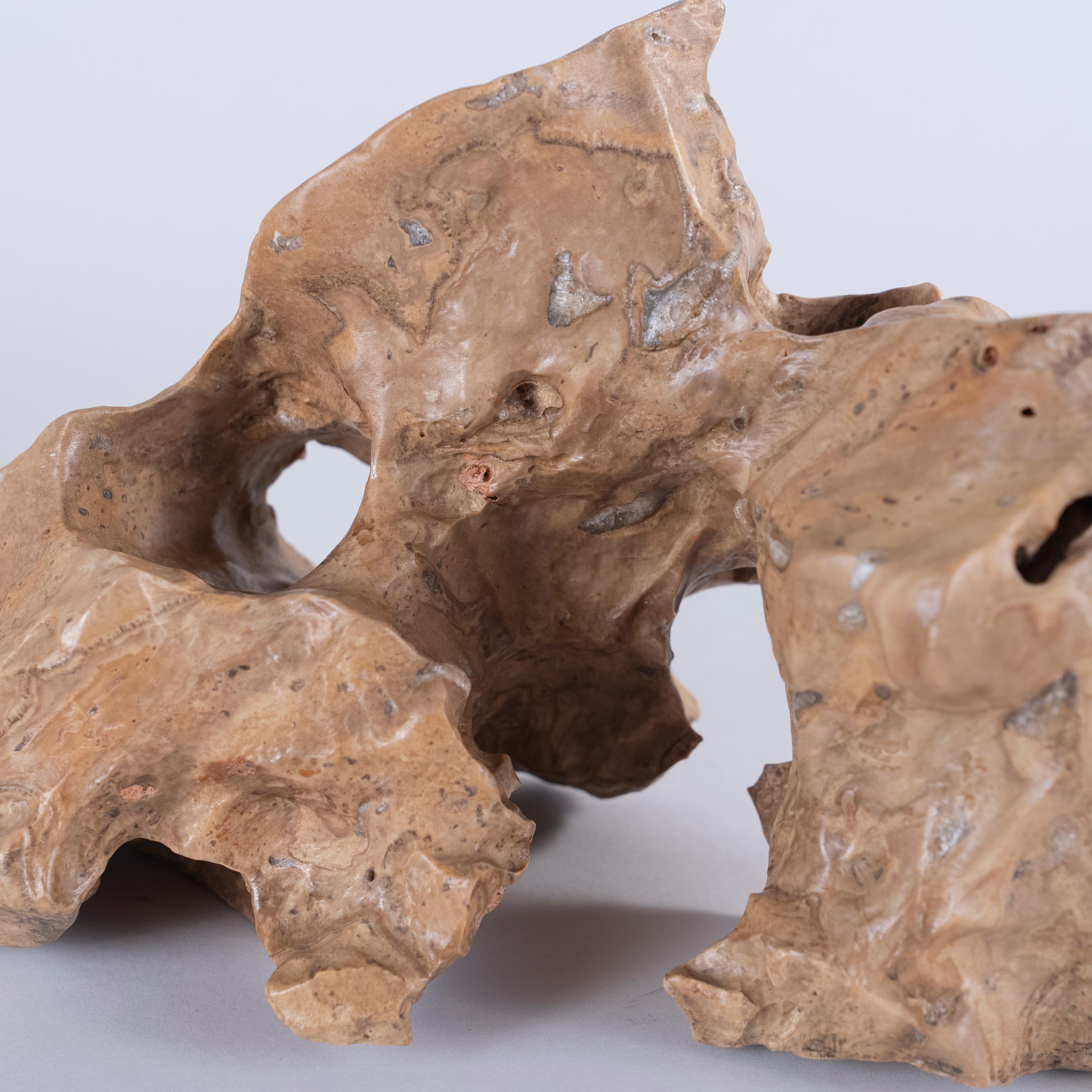 Large Chinese Gongshi 'Scholar's Rock' For Sale at 1stDibs | bone ...