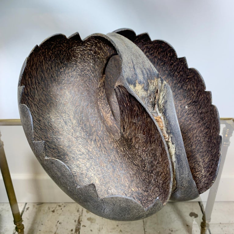 Large Coco De Mer Carved Bowl For Sale at 1stDibs