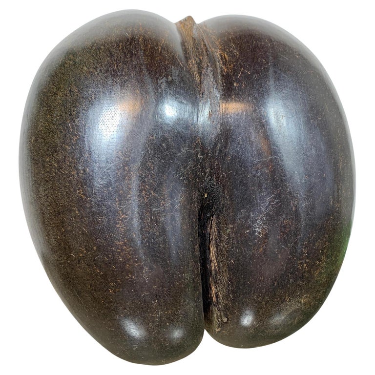 Large Coco De Mer Carved Bowl For Sale at 1stDibs