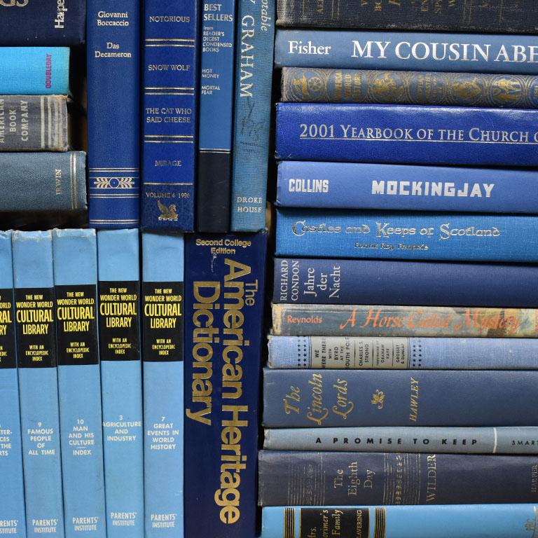 Large Collection of Vintage and Antique Blue Books, Set of 77 For Sale ...