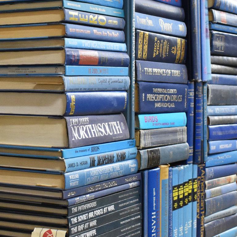 Large Collection of Vintage and Antique Blue Books, Set of 77 For Sale ...