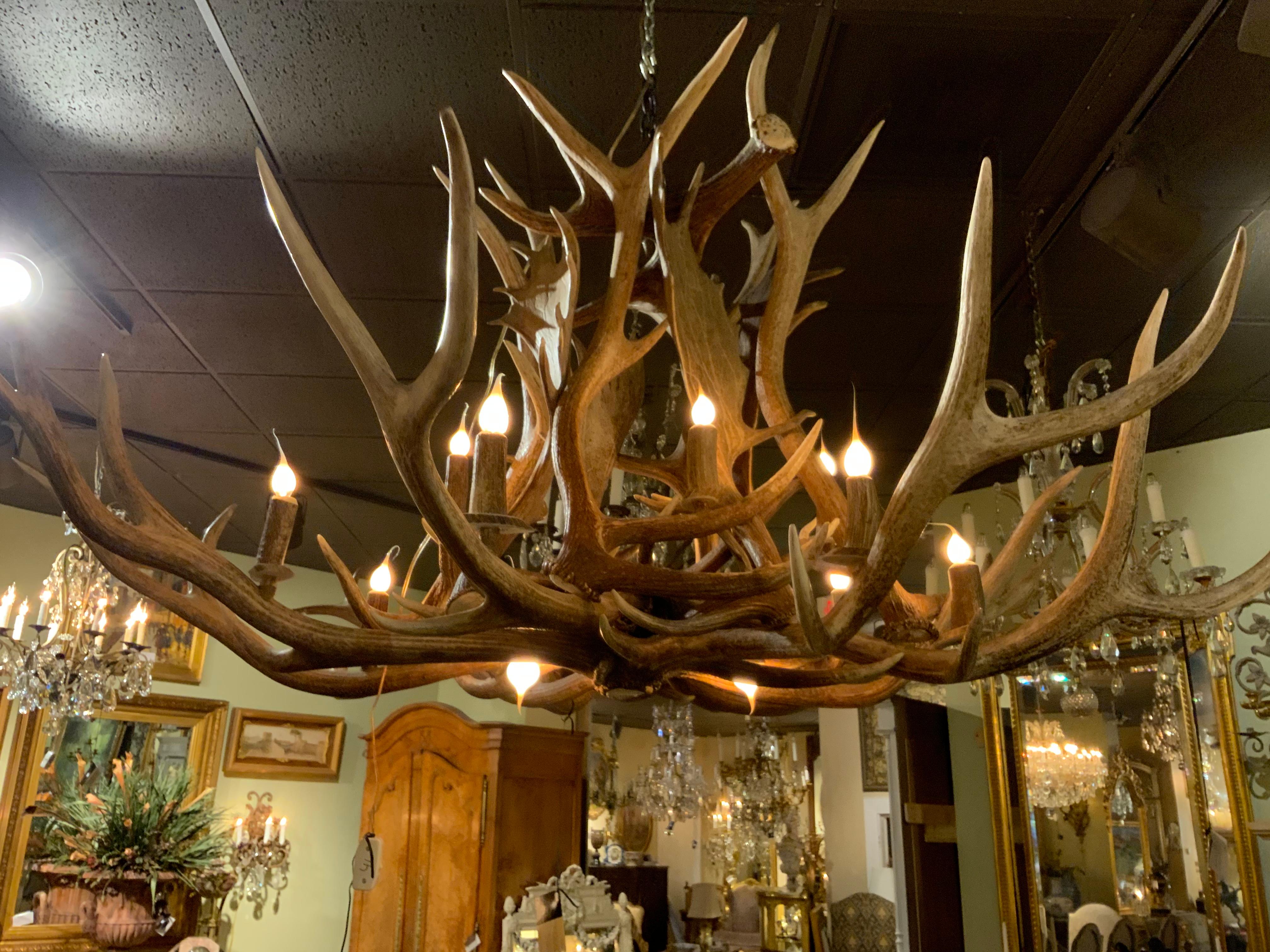 Large Custom Made Elk and Fallow Deer Antler Chandelier, Fourteen ...