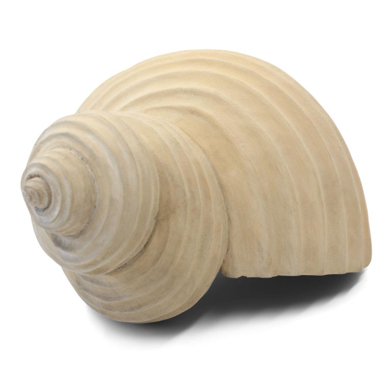 Large Decorative Hand Carved Shell at 1stDibs