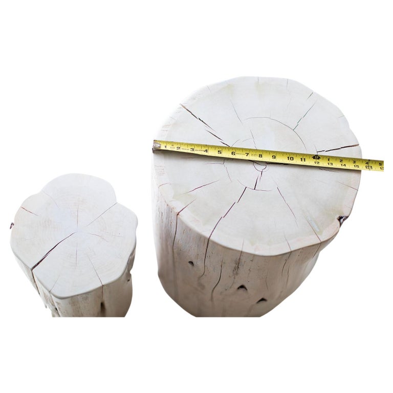 Large Diameter White Stump Table For Sale at 1stDibs