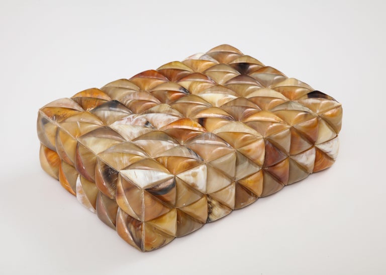 Large Dimensional Triangular Horn Box For Sale at 1stDibs