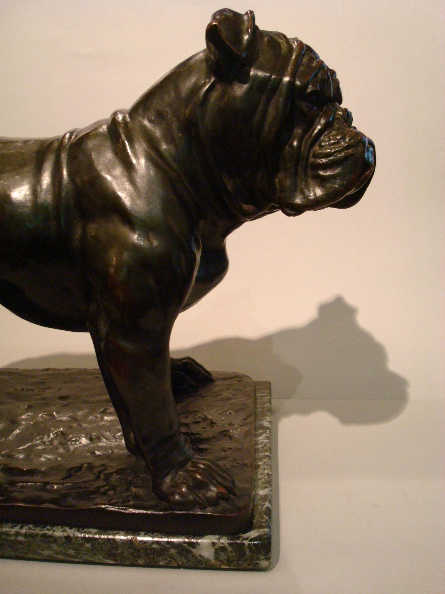 Large Dog English Bulldog Bronze Sculpture, Fritz Diller, Germany, 1910 ...