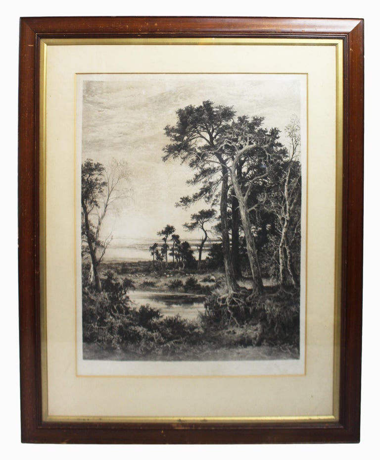 Large Edwardian Landscape Engraving Set in Mahogany Frame For Sale at ...