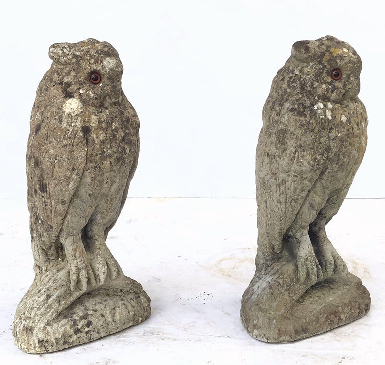 Large English Garden Stone Owl Statues with Glass Eyes 'Individually ...