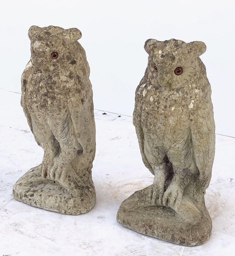 Large English Garden Stone Owl Statues with Glass Eyes 'Individually ...