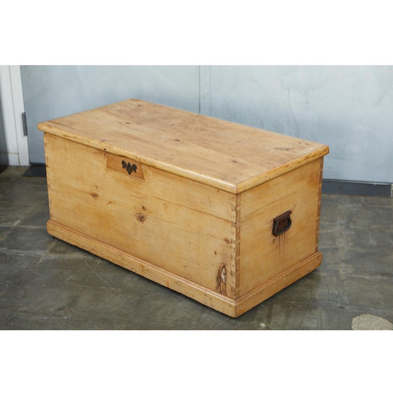 Large English Pine Trunk at 1stDibs