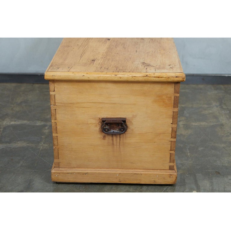 Large English Pine Trunk at 1stDibs