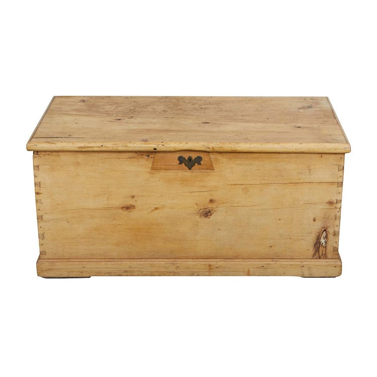 Large English Pine Trunk at 1stDibs