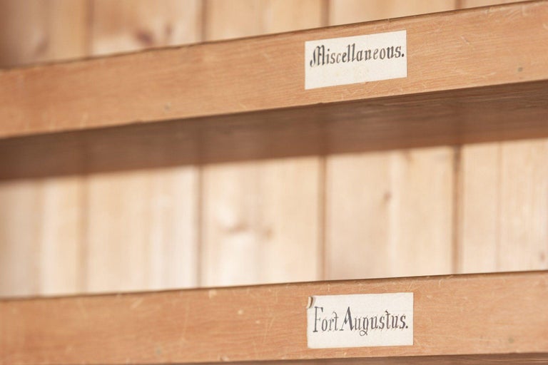 Large Estate Made Scottish Pine Housekeepers Cupboard For Sale at 1stDibs