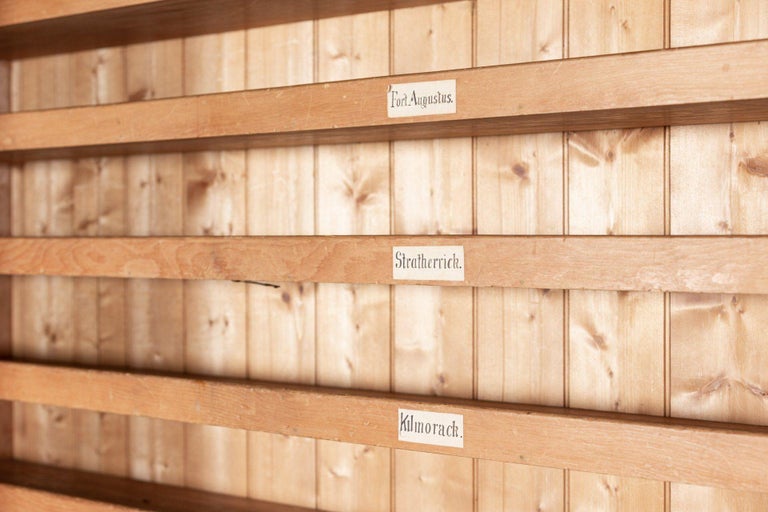 Large Estate Made Scottish Pine Housekeepers Cupboard For Sale at 1stDibs