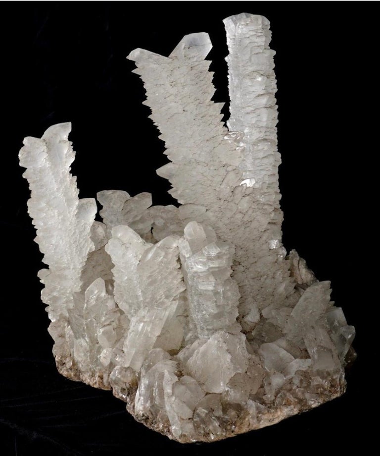 Large Fishtail Selenite Crystal Formation Specimen For Sale at 1stDibs