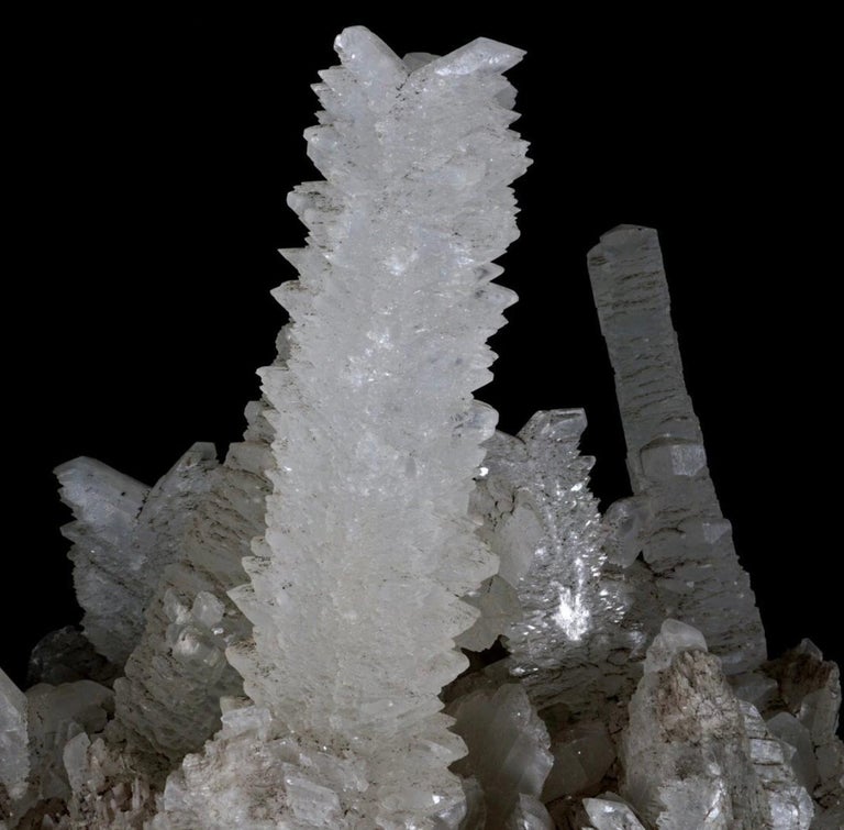 Large Fishtail Selenite Crystal Formation Specimen For Sale at 1stDibs