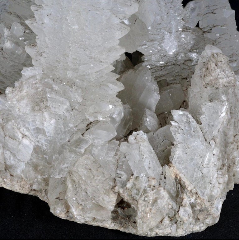 Large Fishtail Selenite Crystal Formation Specimen For Sale at 1stDibs