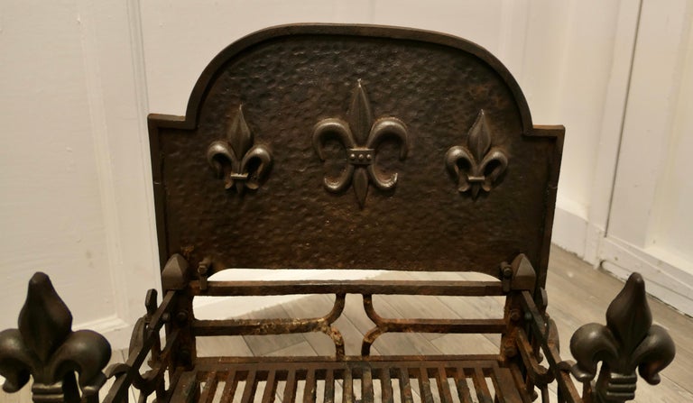 Large Free Standing Fire Grate with Fireback, This is a Heavy Piece For ...