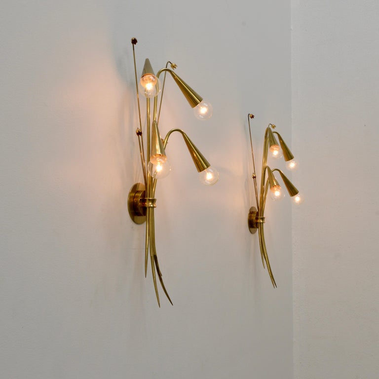 Large French Botanical Sconces at 1stDibs
