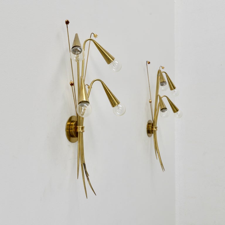 Large French Botanical Sconces at 1stDibs